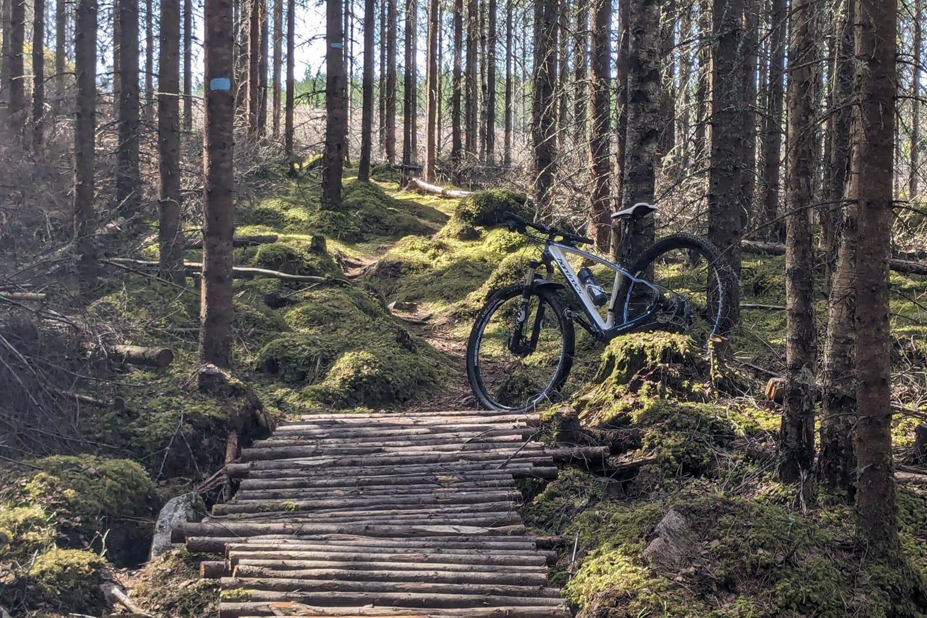 Stisykling på Finnskogen - Visit Øst-Norge
